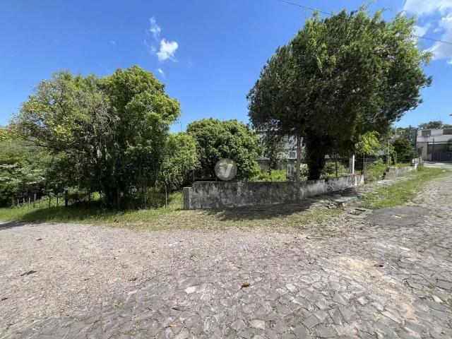 Terreno / Lote para Venda em Santa Maria/RS km 3