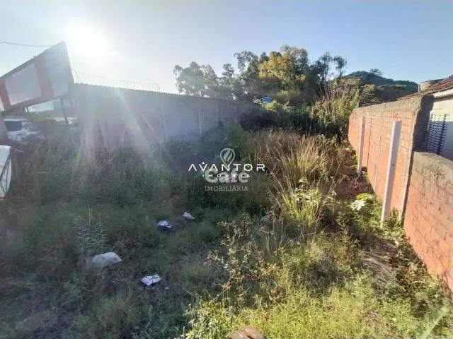 Terreno / Lote para Venda em Santa Maria/RS km 3