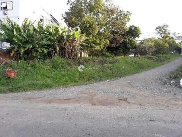 Terreno / Lote para Venda em Santa Maria/RS km 3