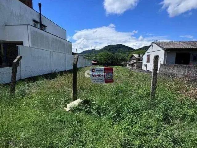 Terreno / Lote para Venda em Santa Maria/RS km 3