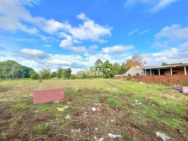 Terreno / Lote para Venda em Santa Maria/RS Lorenzi