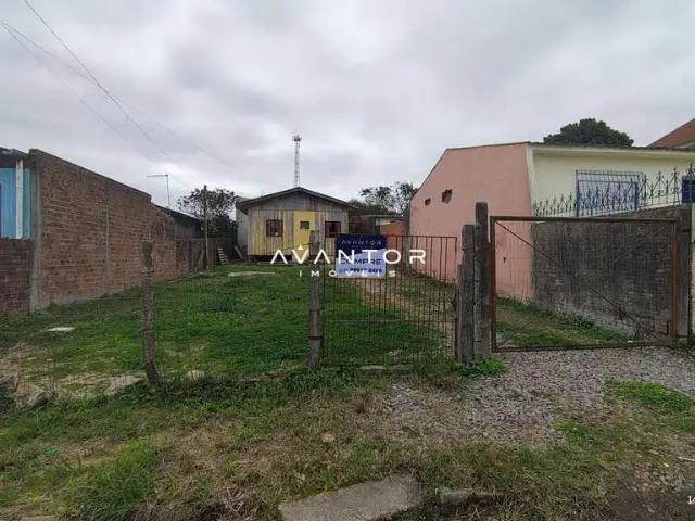Terreno / Lote para Venda em Santa Maria/RS Lorenzi