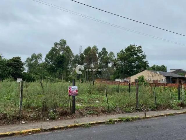 Terreno / Lote para Venda em Santa Maria/RS Lorenzi
