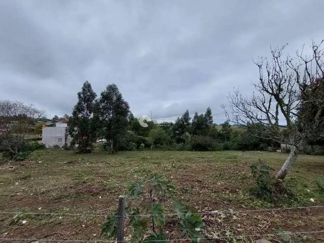 Terreno / Lote para Venda em Santa Maria/RS Lorenzi