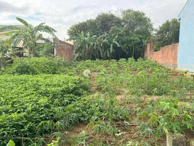 Terreno / Lote para Venda em Santa Maria/RS Lorenzi