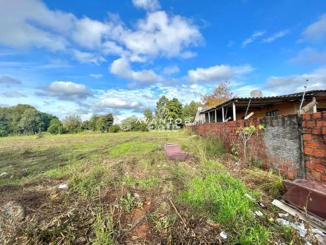 Terreno / Lote para Venda em Santa Maria/RS Lorenzi