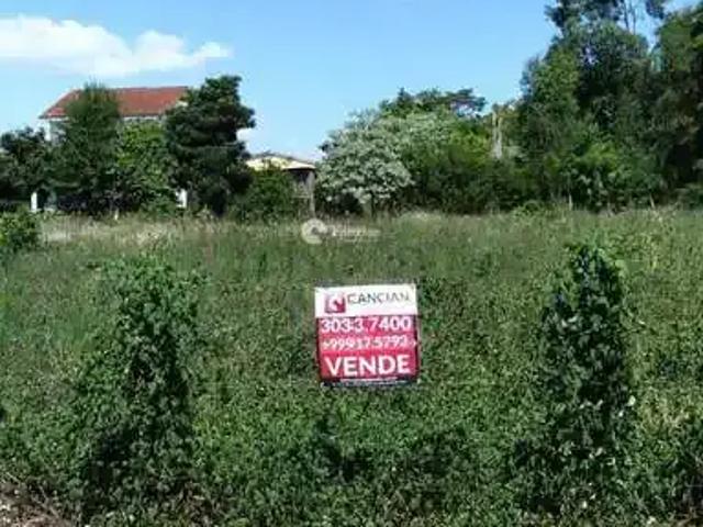 Terreno / Lote para Venda em Santa Maria/RS Lorenzi