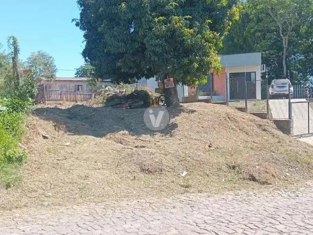 Terreno / Lote para Venda em Santa Maria/RS Lorenzi