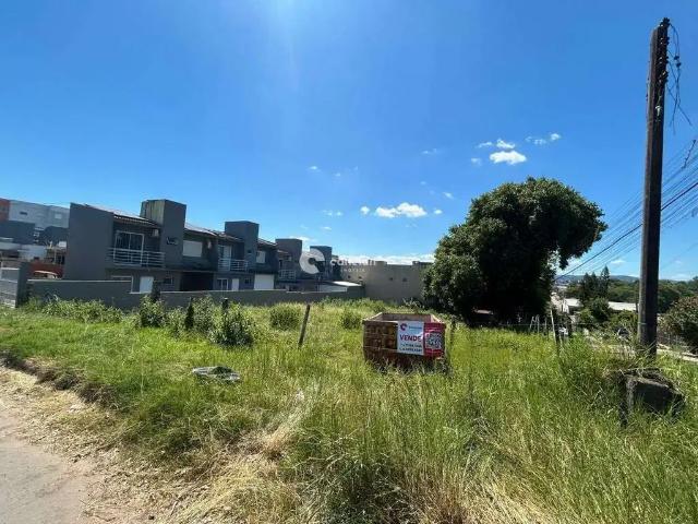 Terreno / Lote para Venda em Santa Maria/RS Lorenzi