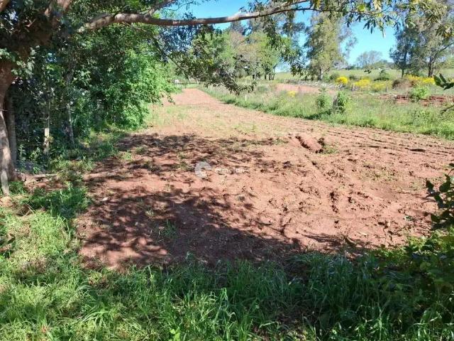 Terreno / Lote para Venda em Santa Maria/RS Passo das Tropas