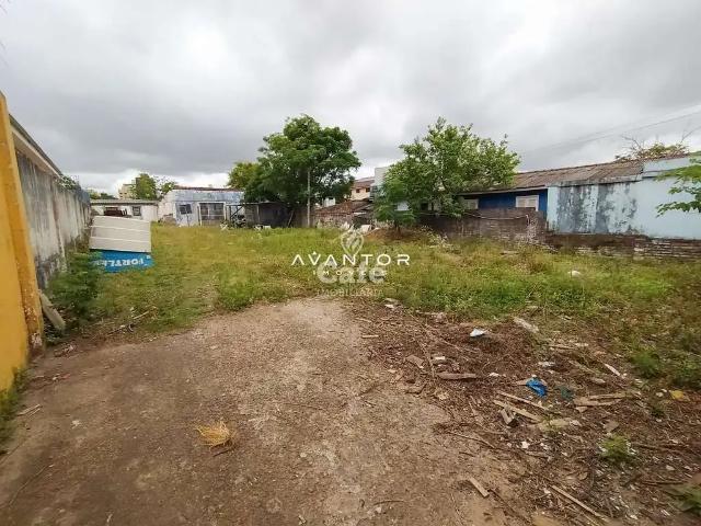 Terreno / Lote para Venda em Santa Maria/RS Passo D'Areia