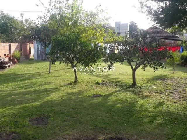 Terreno / Lote para Venda em Santa Maria/RS Passo D'Areia