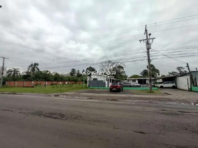 Terreno / Lote para Venda em Santa Maria/RS Passo D'Areia