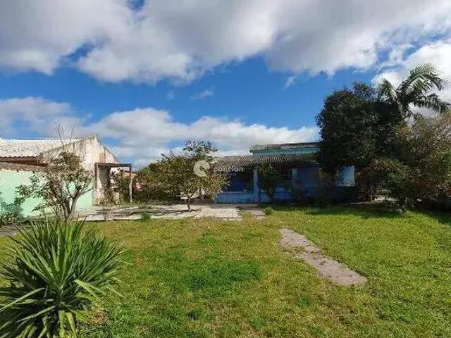 Terreno / Lote para Venda em Santa Maria/RS Passo D'Areia