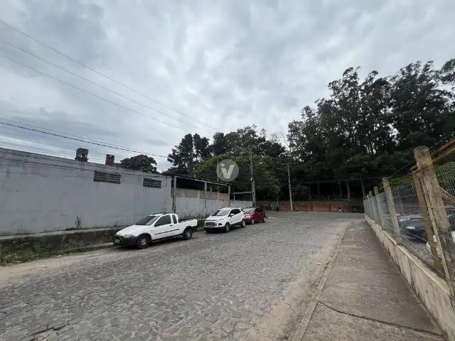 Terreno / Lote para Venda em Santa Maria/RS Patronato