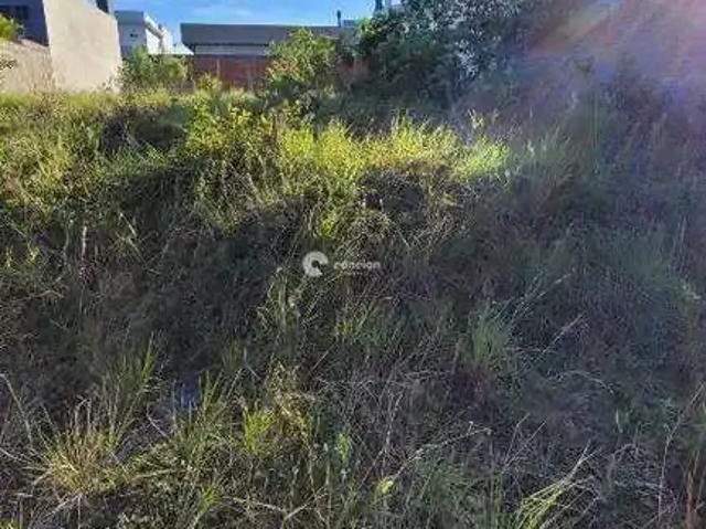 Terreno / Lote para Venda em Santa Maria/RS Pé de Plátano