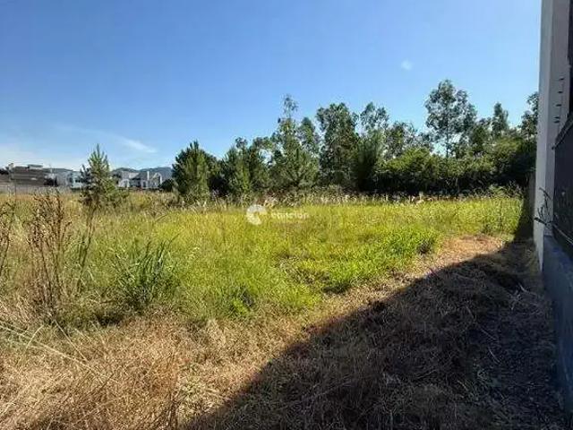 Terreno / Lote para Venda em Santa Maria/RS Pé de Plátano