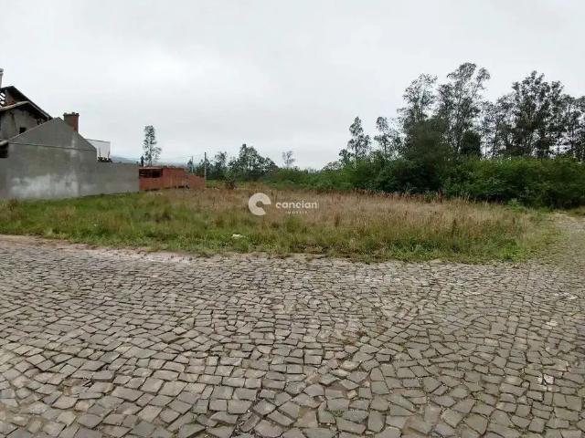 Terreno / Lote para Venda em Santa Maria/RS Pé de Plátano