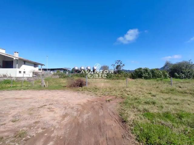 Terreno / Lote para Venda em Santa Maria/RS Pé de Plátano