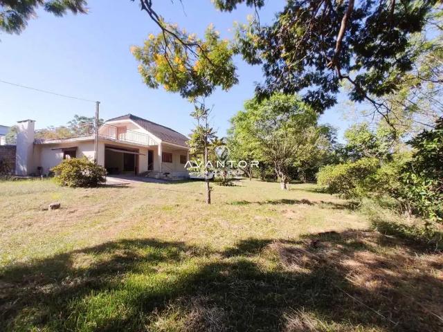 Terreno / Lote para Venda em Santa Maria/RS Pé de Plátano