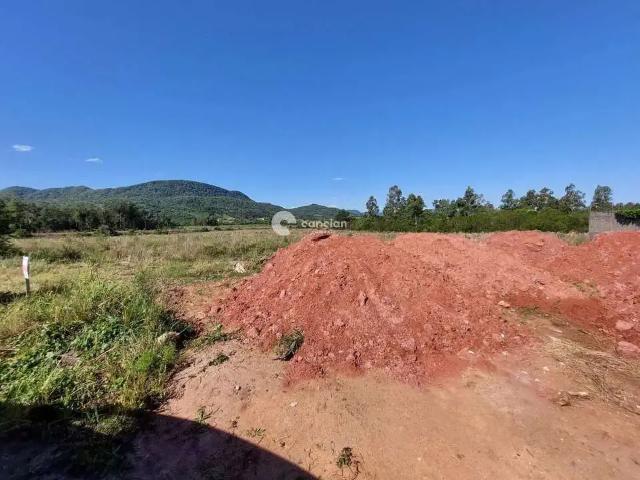 Terreno / Lote para Venda em Santa Maria/RS Pé de Plátano