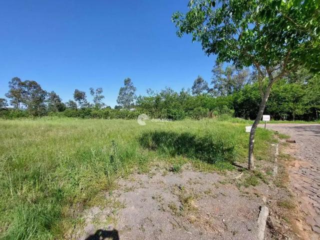 Terreno / Lote para Venda em Santa Maria/RS Pé de Plátano