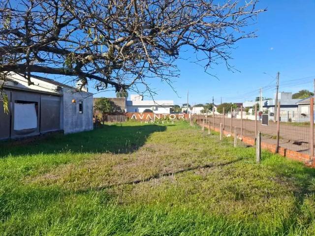 Terreno / Lote para Venda em Santa Maria/RS Pé de Plátano