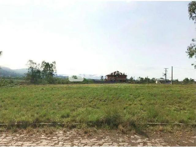 Terreno / Lote para Venda em Santa Maria/RS Pé de Plátano