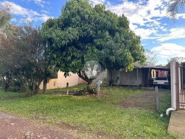 Terreno / Lote para Venda em Santa Maria/RS Pé de Plátano
