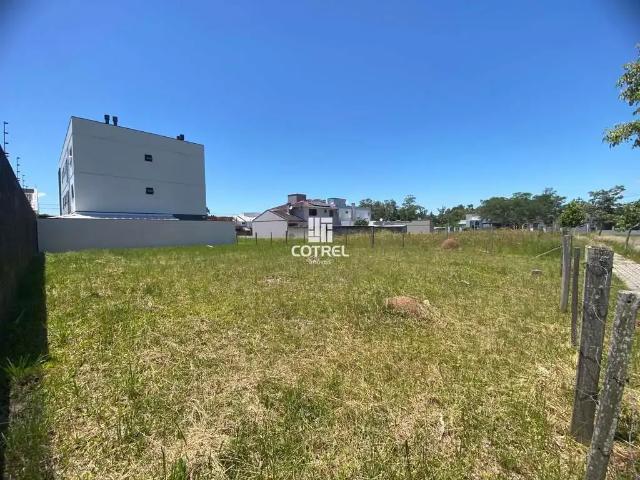 Terreno / Lote para Venda em Santa Maria/RS Pé de Plátano