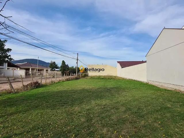 Terreno / Lote para Venda em Santa Maria/RS Pé de Plátano