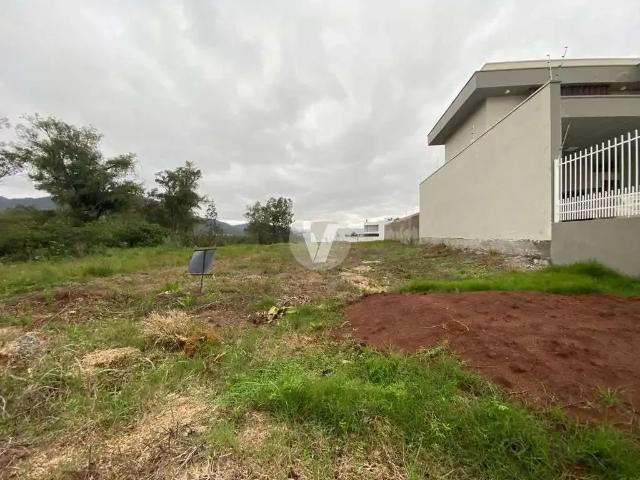 Terreno / Lote para Venda em Santa Maria/RS Pé de Plátano