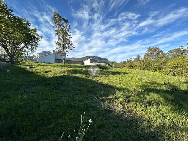 Terreno / Lote para Venda em Santa Maria/RS Pé de Plátano