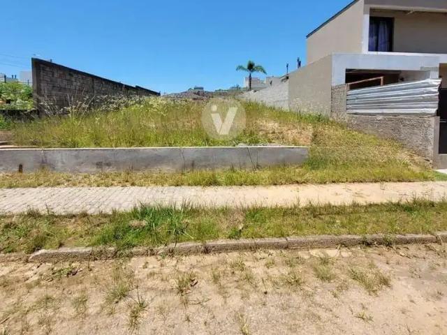 Terreno / Lote para Venda em Santa Maria/RS Pé de Plátano