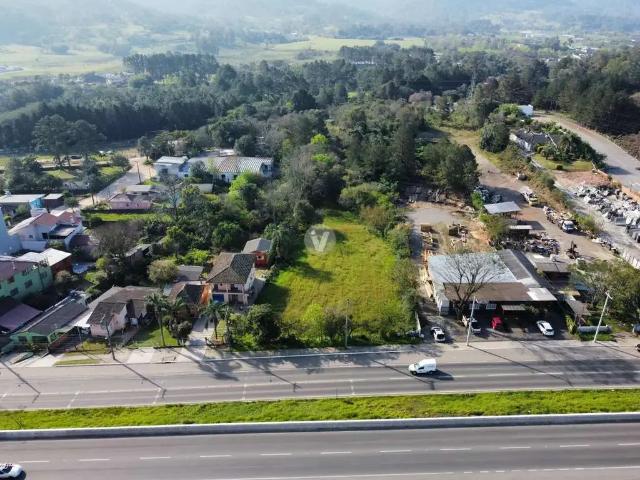 Terreno / Lote para Venda em Santa Maria/RS Pé de Plátano