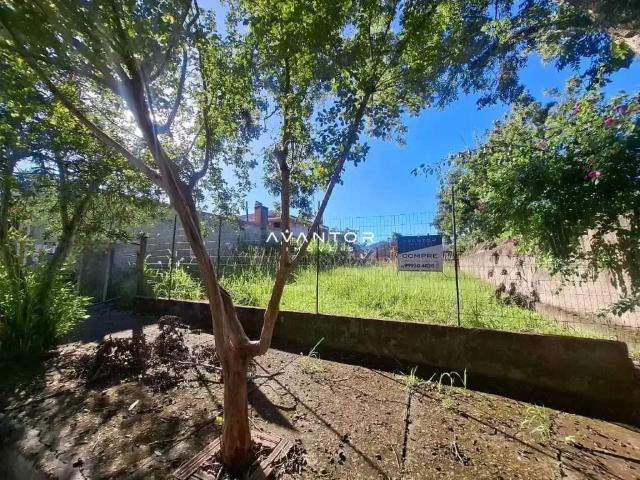 Terreno / Lote para Venda em Santa Maria/RS Pé de Plátano