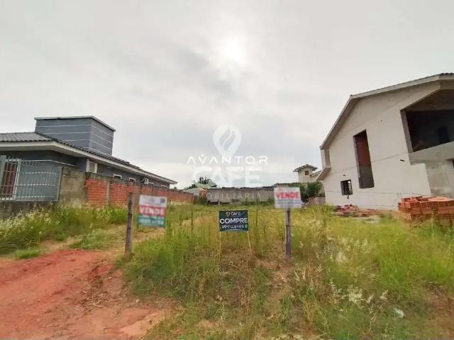 Terreno / Lote para Venda em Santa Maria/RS Pé de Plátano