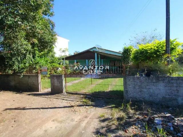 Terreno / Lote para Venda em Santa Maria/RS Pé de Plátano