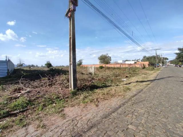 Terreno / Lote para Venda em Santa Maria/RS Pé de Plátano