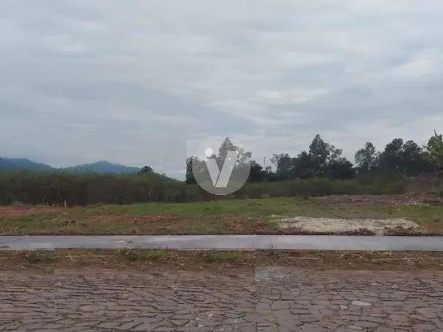 Terreno / Lote para Venda em Santa Maria/RS Pé de Plátano