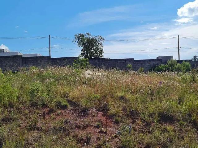 Terreno / Lote para Venda em Santa Maria/RS Pé de Plátano