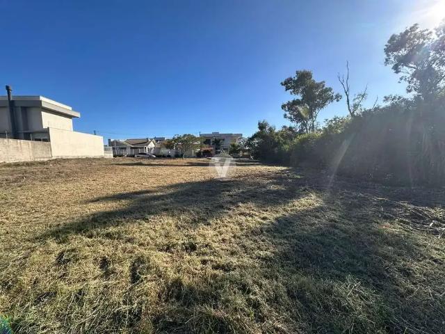 Terreno / Lote para Venda em Santa Maria/RS Pé de Plátano