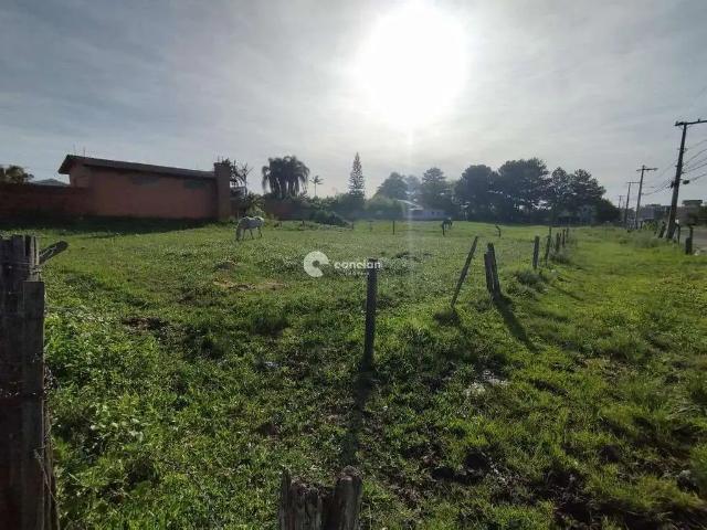Terreno / Lote para Venda em Santa Maria/RS Pinheiro Machado