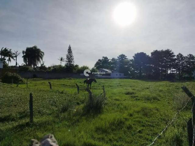 Terreno / Lote para Venda em Santa Maria/RS Pinheiro Machado