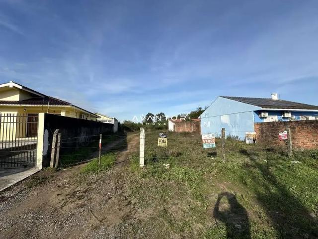 Terreno / Lote para Venda em Santa Maria/RS Pinheiro Machado