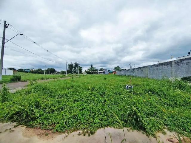 Terreno / Lote para Venda em Santa Maria/RS Pinheiro Machado
