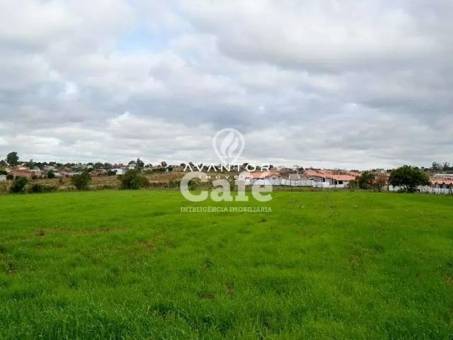 Terreno / Lote para Venda em Santa Maria/RS Pinheiro Machado