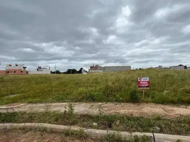 Terreno / Lote para Venda em Santa Maria/RS Pinheiro Machado