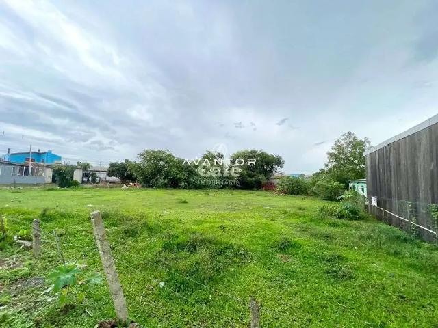 Terreno / Lote para Venda em Santa Maria/RS Pinheiro Machado