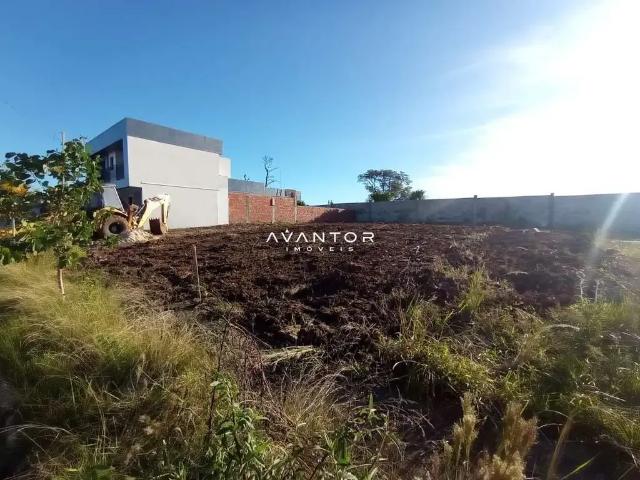 Terreno / Lote para Venda em Santa Maria/RS Pinheiro Machado